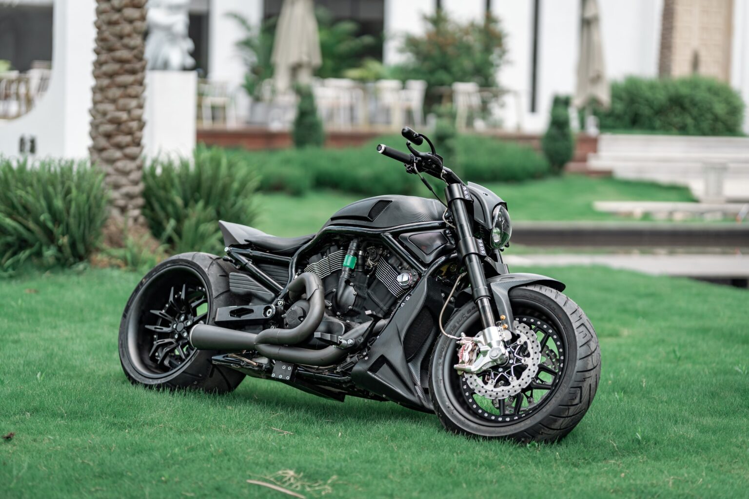 GALLERY - nova forged